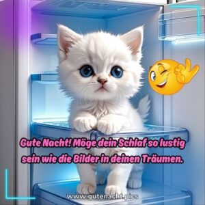 Gute Nacht Lustig Bilder & Grüße, Sprüche, Zitate